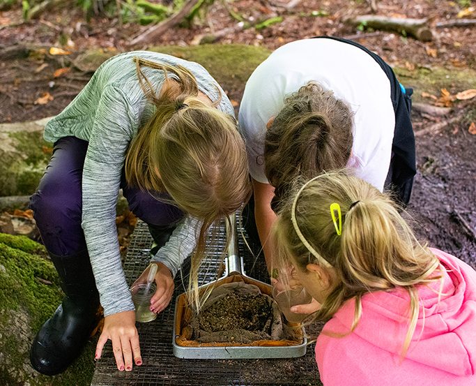 Freshwater Study - Heatree Activity Centre