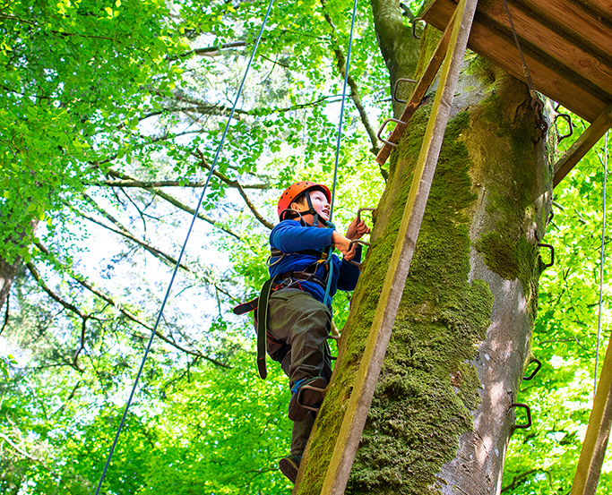 High Ropes_13 - Heatree Activity Centre