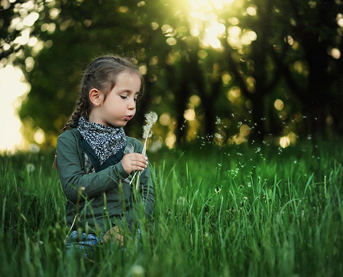 Earth Walk - Heatree Activity Centre