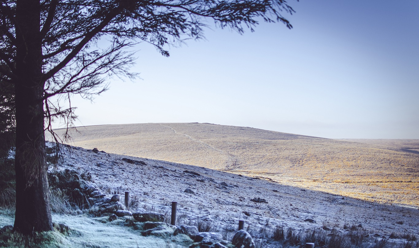 _DSC5483 - Heatree Activity Centre