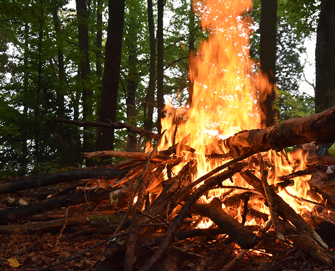 fire-1748705 - Heatree Activity Centre